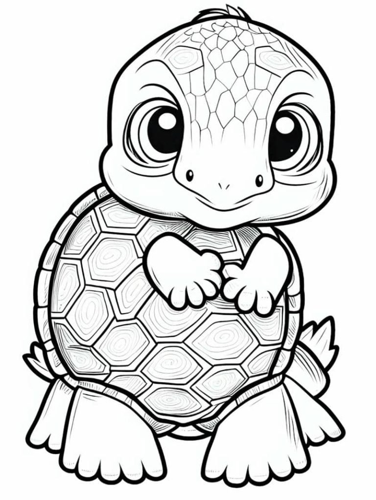 Khám phá 80+ ảnh tranh tô màu con rùa siêu cute, đáng yêu